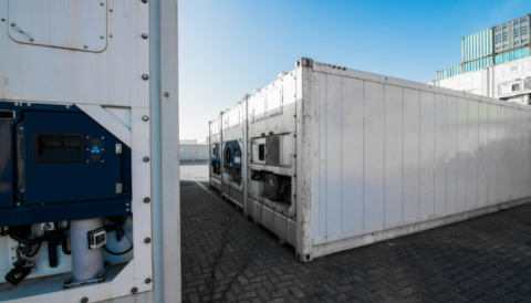 Cara Mengirim Sayuran Segar Menggunakan Chiller Container