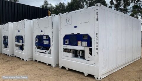 Pusat Sewa Reefer Container Daikin, Carrier, Thermoking